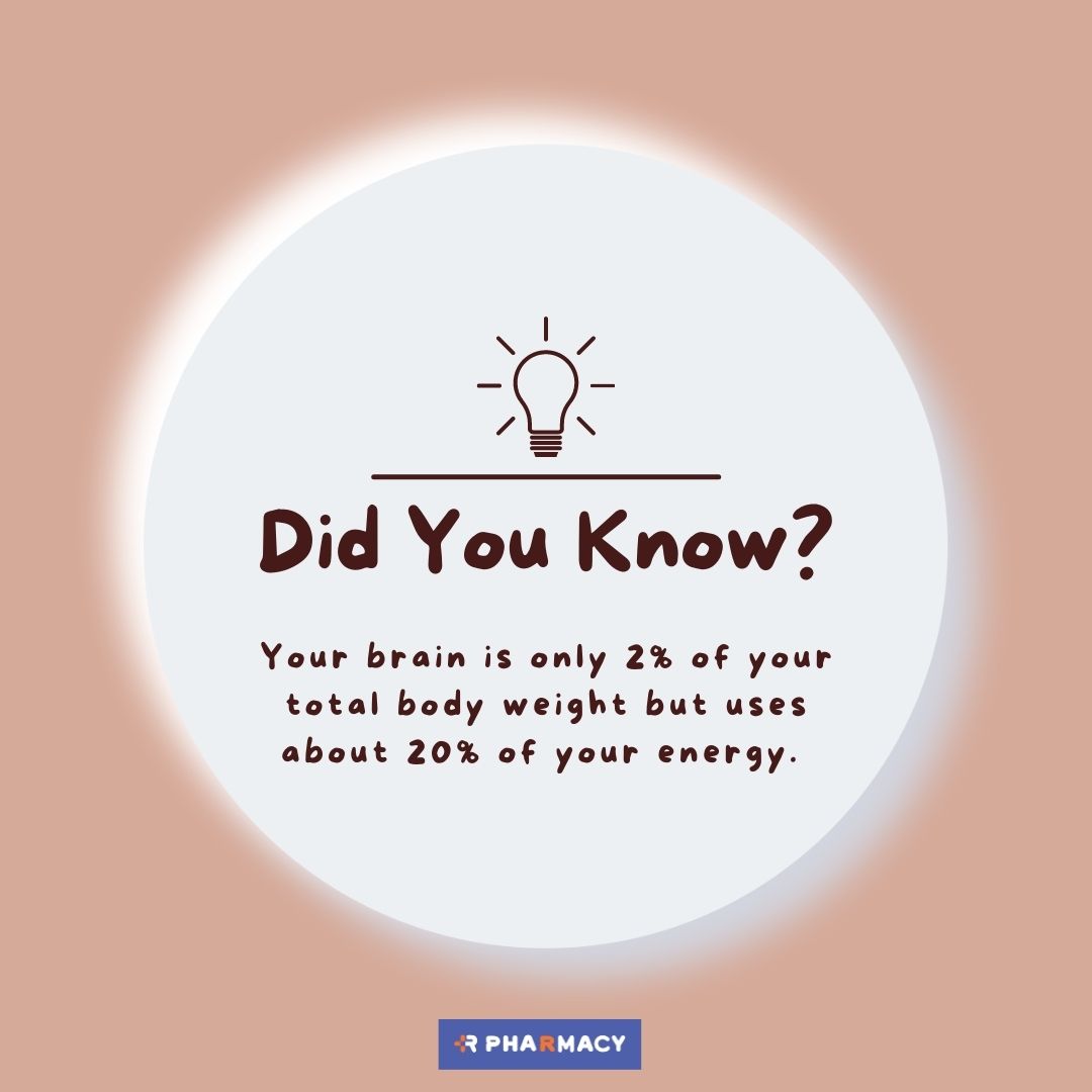 World Brain Day – R Pharmacy